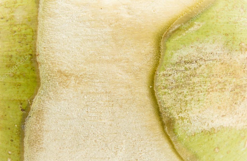 Texture of coconut shell Stock Photo by ©fotographic1980 13916279