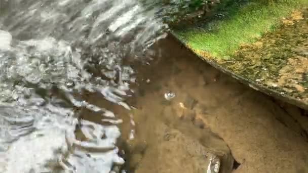 567 Environmental corrosion Videos, Royalty-free Stock Environmental ...