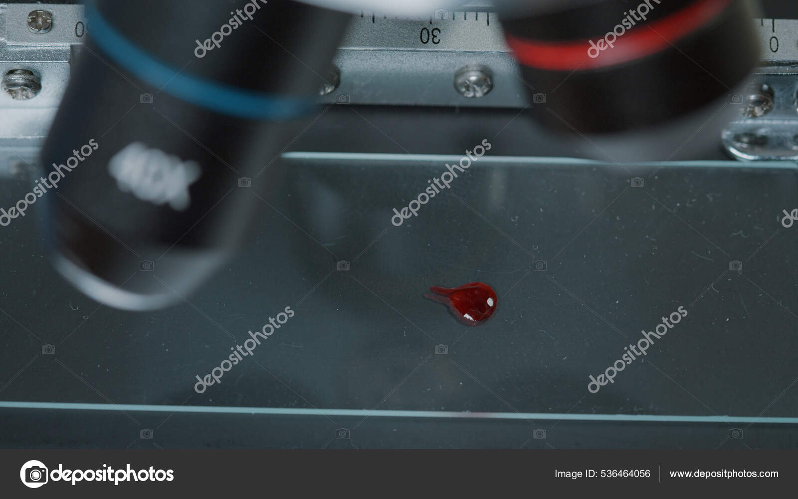 Micro pipette putting blood sample on microscope to test dna Stock ...