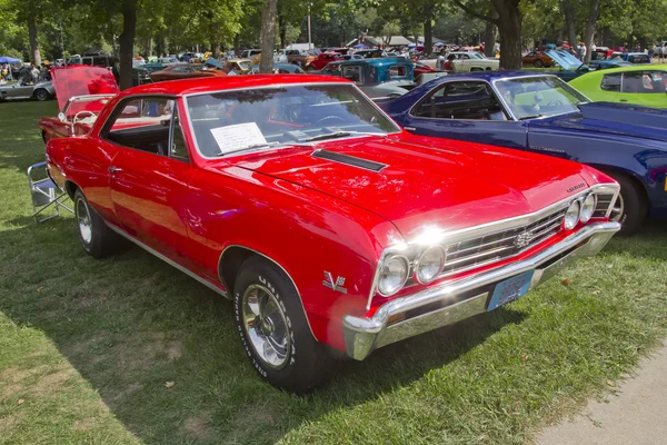 Red chevelle Stock Photos, Royalty Free Red chevelle Images | Depositphotos