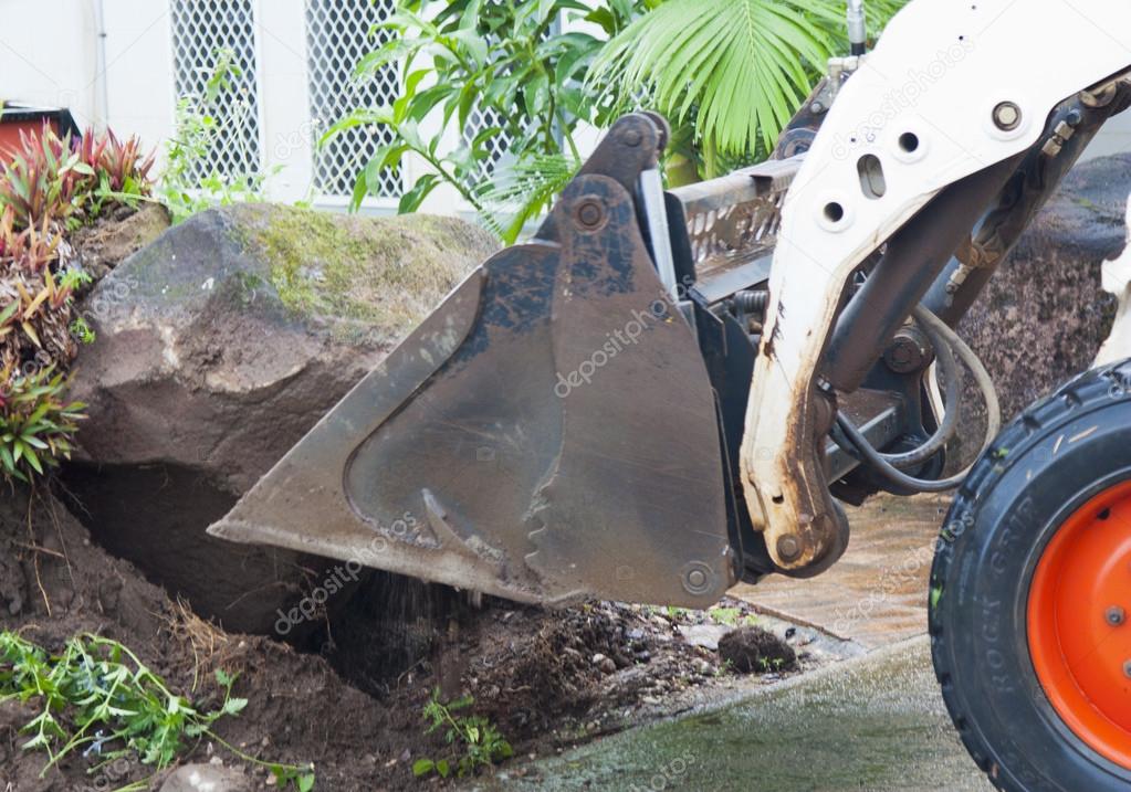Bobcat landscape — Stock Photo © ekays #12724940