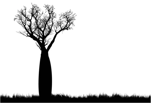 Boab tree Vector Art Stock Images | Depositphotos