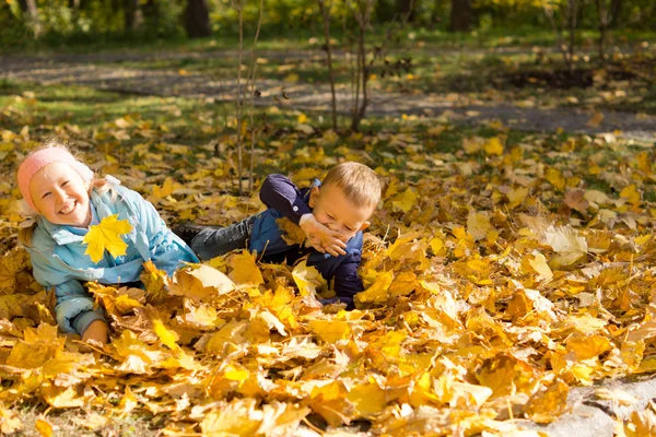 Laughing children playing with fall leaves — Stock Photo © ampack #14060361