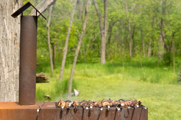 Meat kebabs cooking over a hot BBQ fire - Stock Image - Everypixel