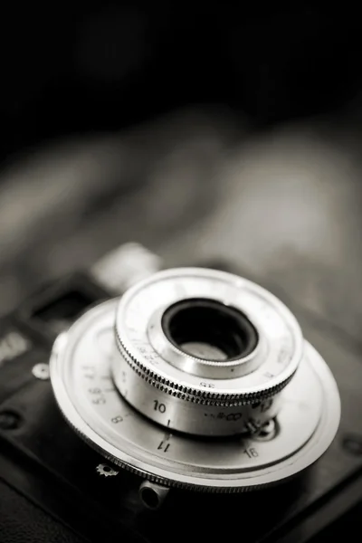 Selective Focus Photography