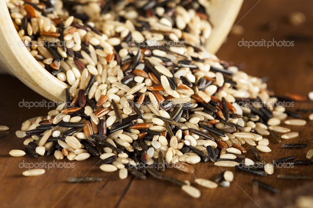 Organic Dry Multi Grain Rice — Stock Photo © bhofack2 #24745329