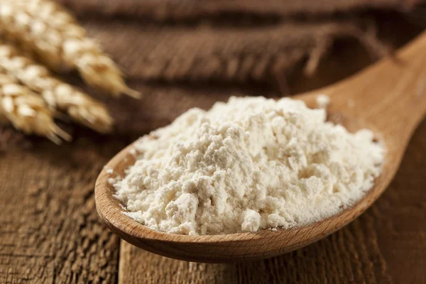 Organic Whole Wheat Flour — Stock Photo © bhofack2 #31228227