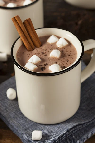 Gourmet Hot Chocolate Milk — Stock Photo © bhofack2 #36782949