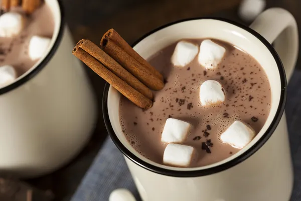 Gourmet Hot Chocolate Milk — Stock Photo © bhofack2 #36782949