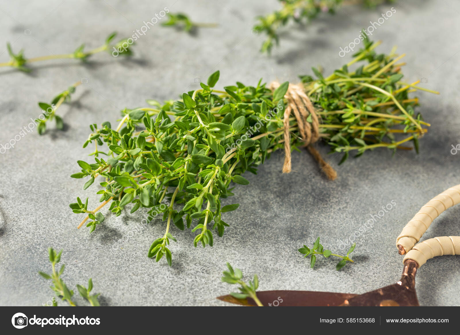 Thyme Herb Cooking