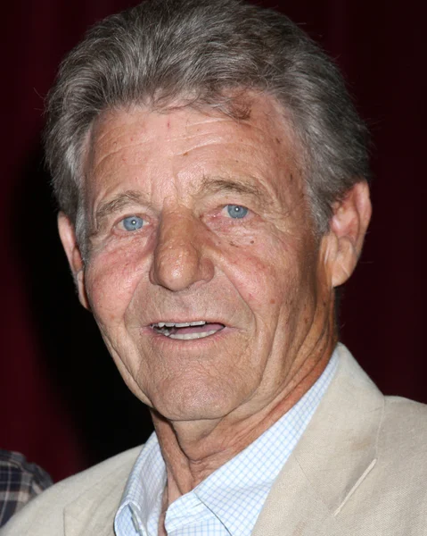 Memeoris Stock Photos, Royalty Free Memeoris Images | Depositphotos