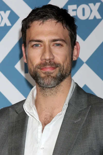 Adam Rayner Actor