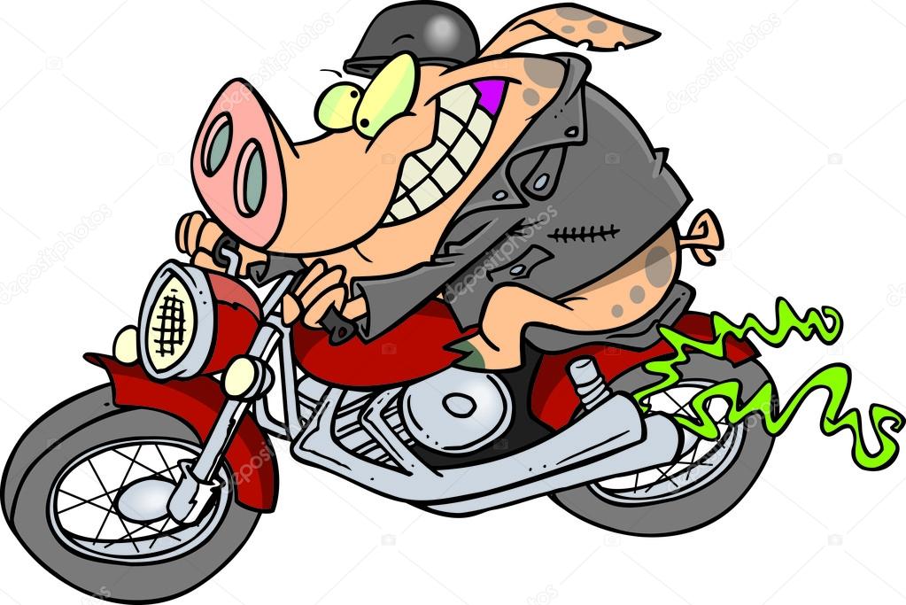 Cartoon Pig Riding a Hog Stock Vector by ©ronleishman 13949816