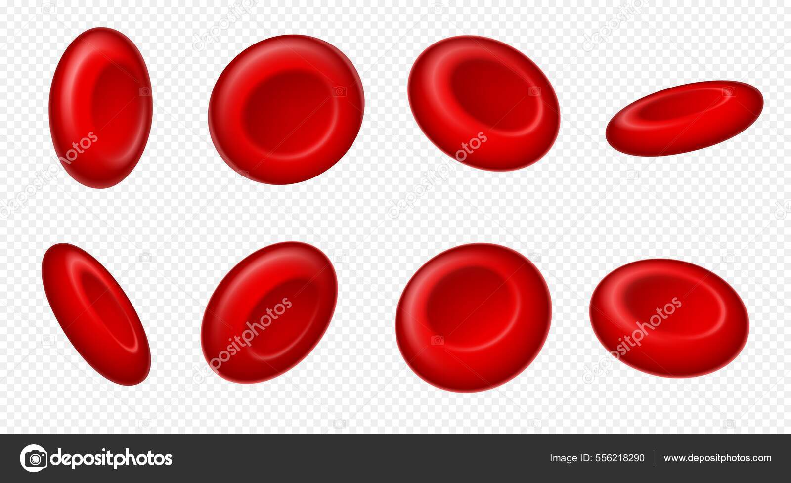 Red blood cells. Microbiological medical erythrocytes, microscopic ...