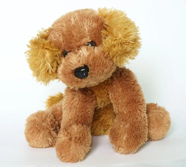 Stuffed dog Stock Photos, Royalty Free Stuffed dog Images | Depositphotos