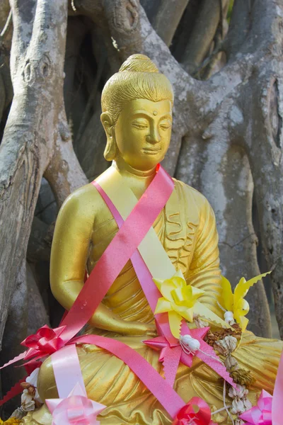 Pink buddha Stock Photos, Royalty Free Pink buddha Images | Depositphotos