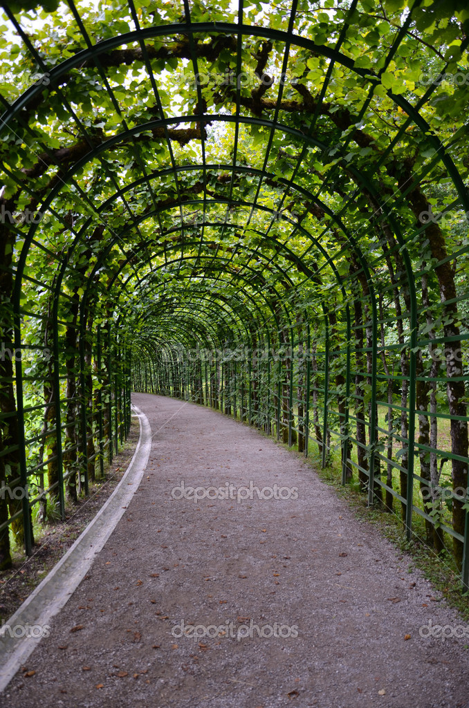 Trellis tunnel, Germany Linderhof Stock Photo by ©wulwais 13438535