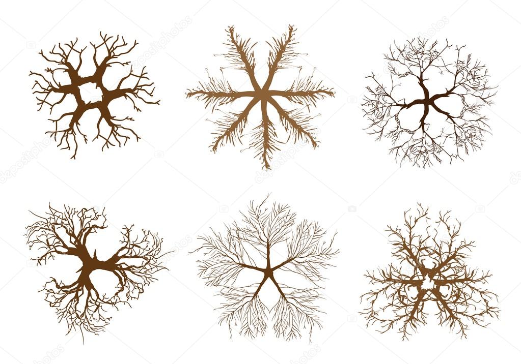 A Set of Isometric Brown Trees and Plants Stock Vector Image by ©Iamnee ...