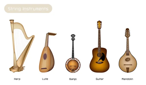 ᐈ Banjo stock vectors, Royalty Free banjo instrument illustrations ...