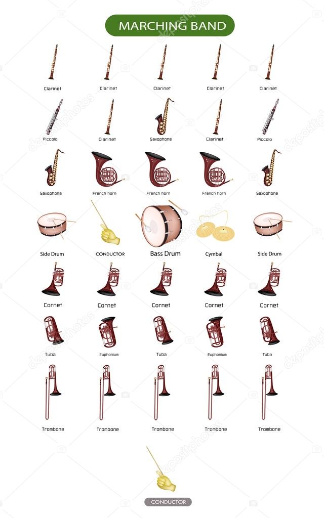 Diagrama de instrumentos musicales para banda de música — Vector de ...