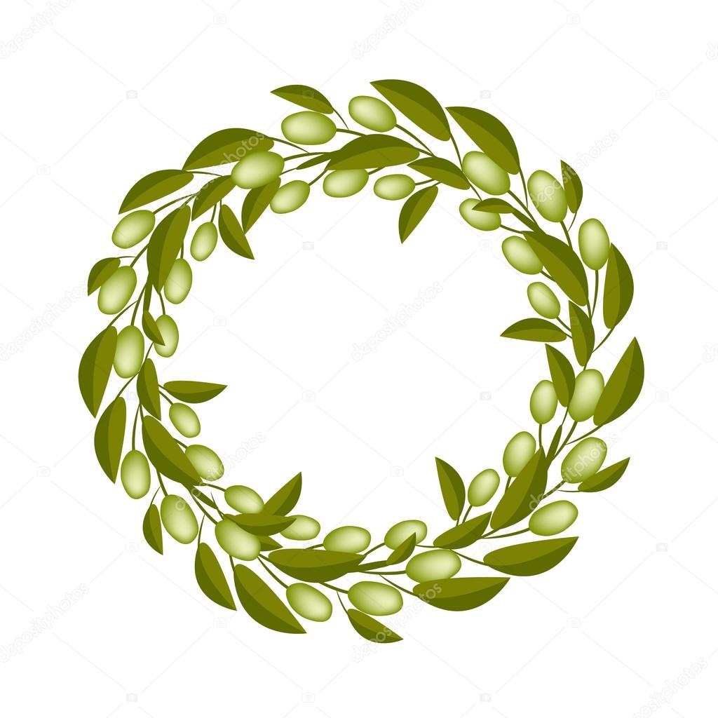 A Beautiful Olive Wreath or Olive Crown Stock Vector by ©Iamnee 43098305