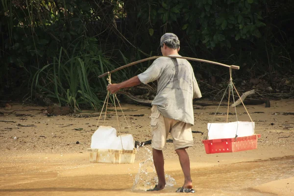 Carrying ice Stock Photos, Royalty Free Carrying ice Images | Depositphotos