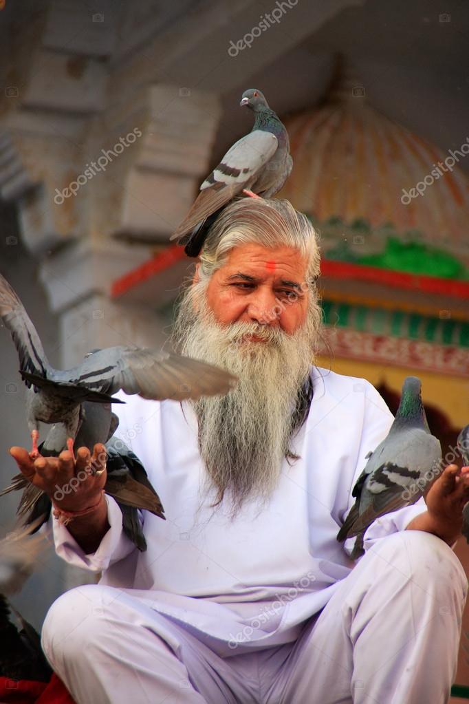Indian man feeding pigeons near holy lake, Pushkar, India – Stock ...