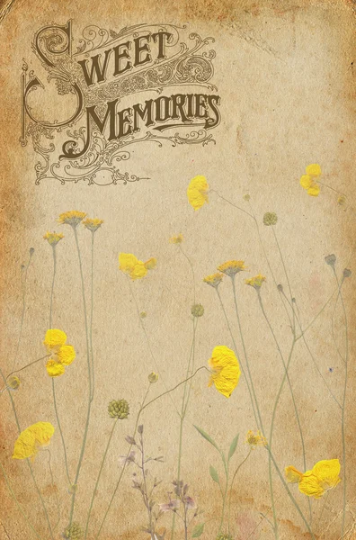 Sweet memories background Stock Photo by ©pavila1 42068229