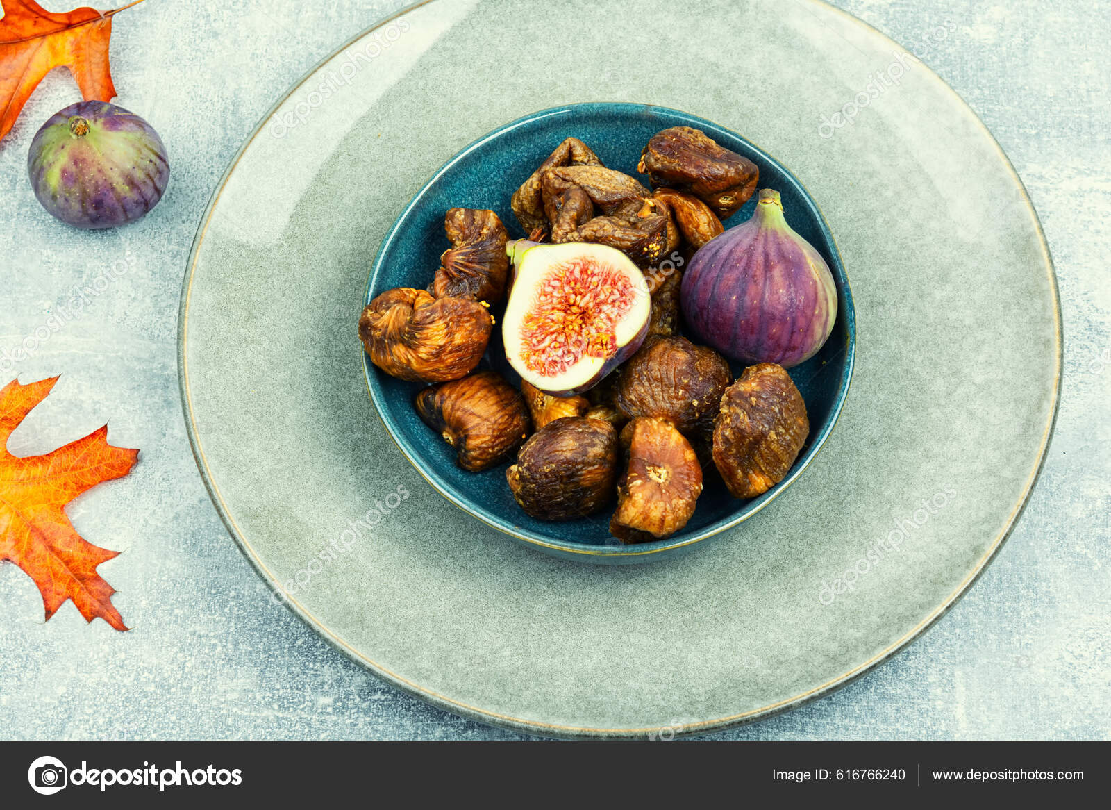 Dried Fig Tree Fruit