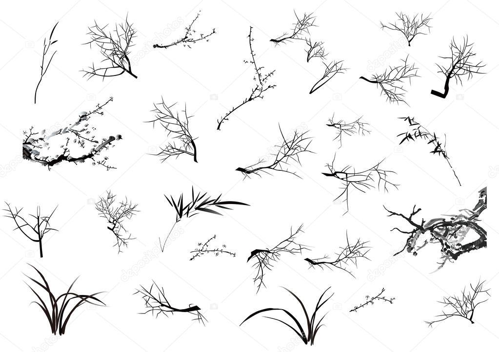 Branch collection Stock Vector Image by ©baoyan #27341203
