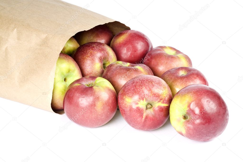 A Bag of Macintosh Apples Lying on Its Side Isolated on White Stock ...