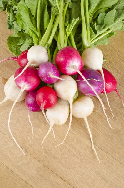 Turnip family Stock Photos, Royalty Free Turnip family Images ...