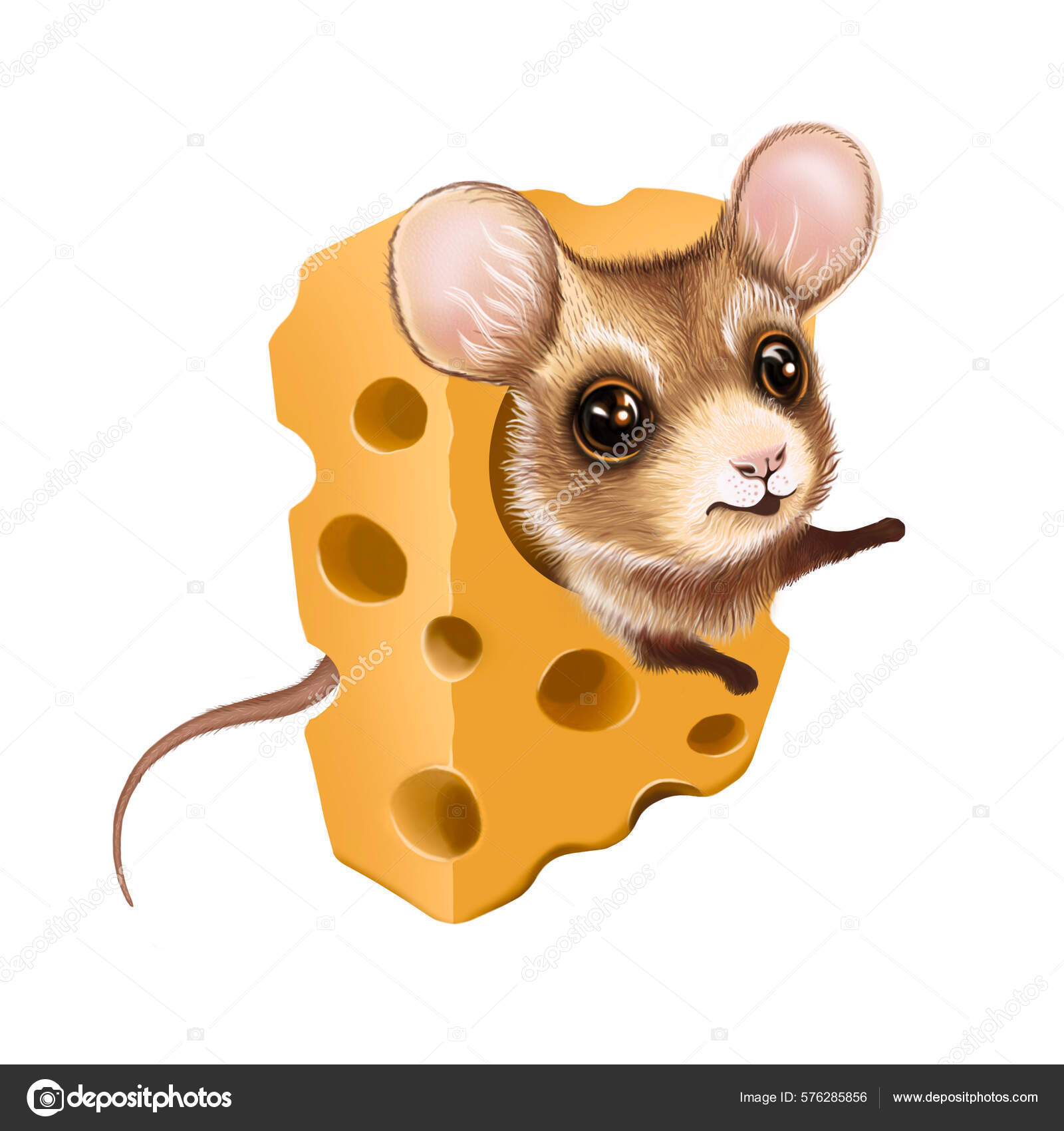 Cute Little Mouse Peeks Out Cheese Head Children's Illustration Happy ...