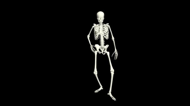 Moving Skeleton Animation