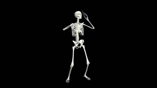 Dancing Skeleton Skeleton Dance Animation Skeleton Dance Stock Video ...