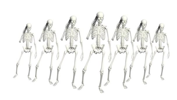Skeletons Talking Phones Skeletons Conversation Using Phones Realistic ...