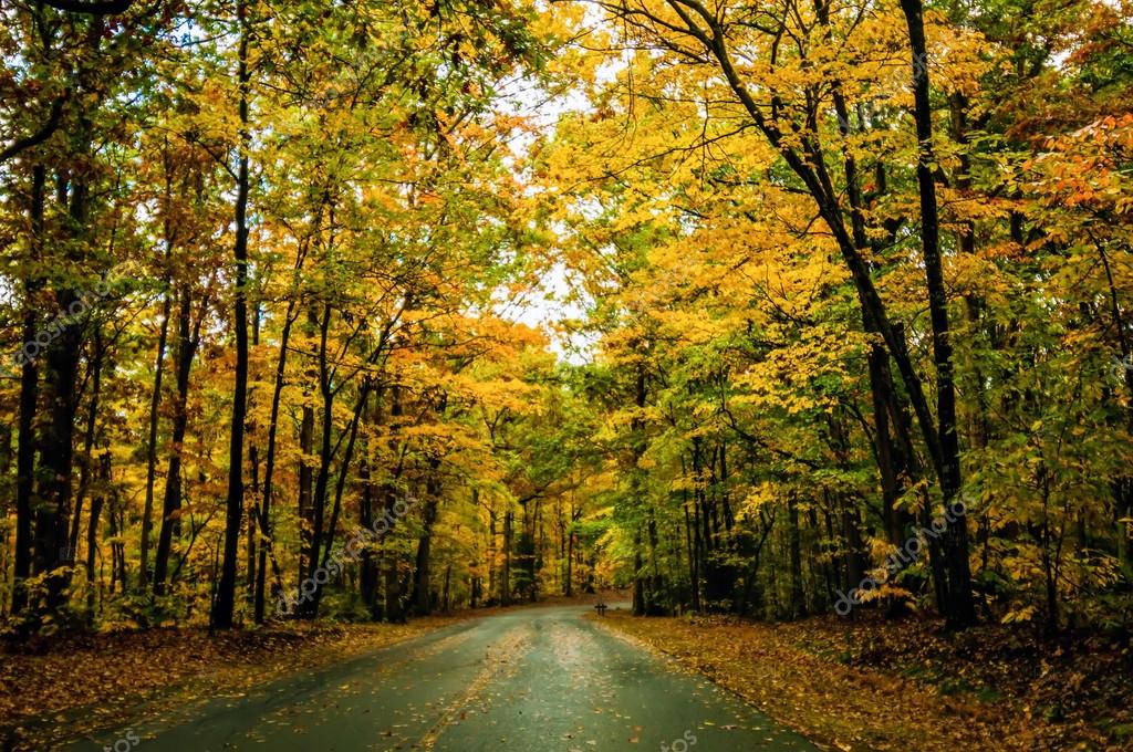 Autumn Country Road Wallpaper