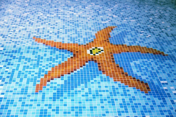Tiled starfish Pictures, Tiled starfish Stock Photos & Images ...