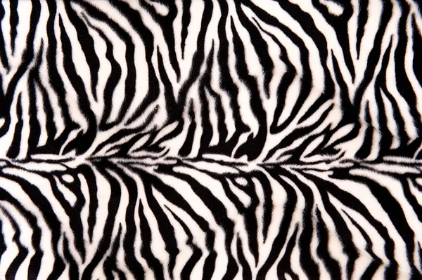 Zebra pattern Stock Photos, Royalty Free Zebra pattern Images ...