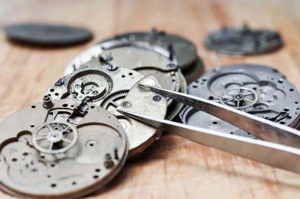 Repair of watches - Stock Image - Everypixel