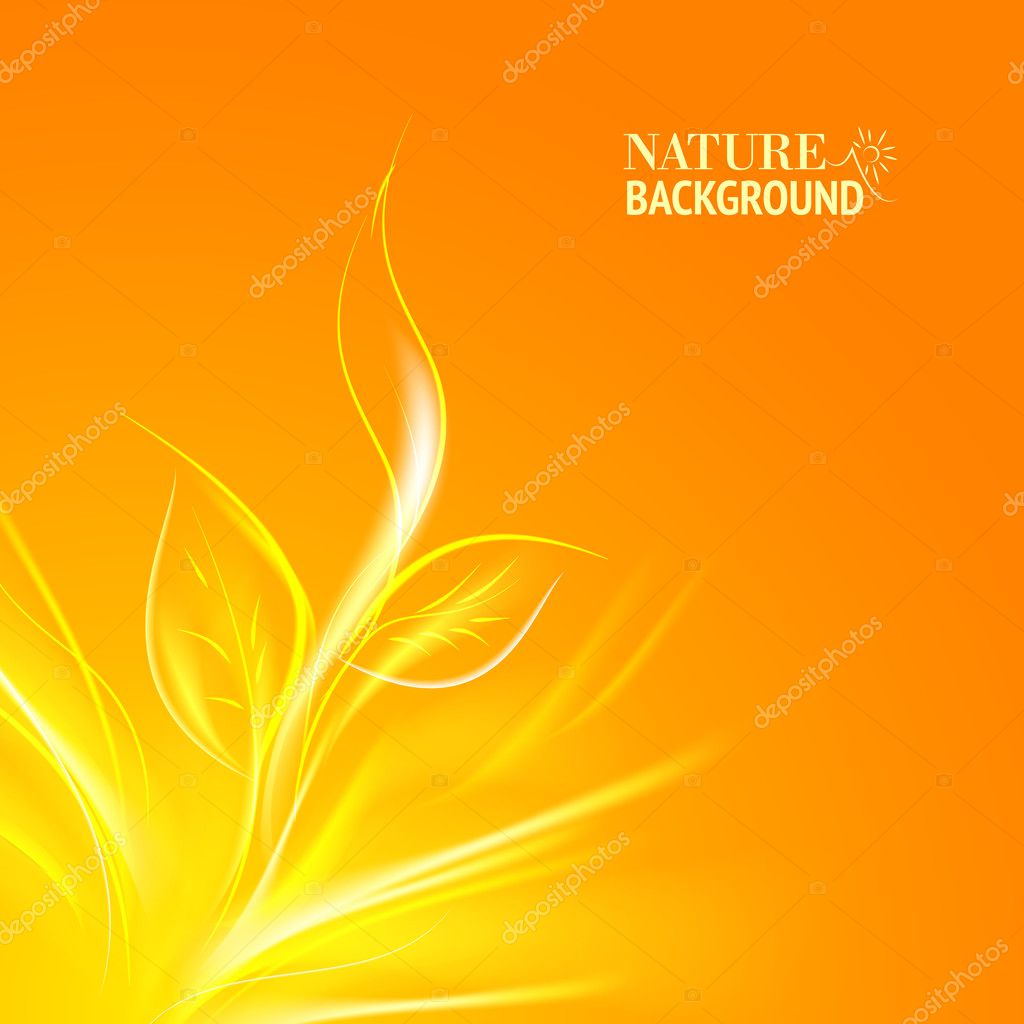 Rayos y hojas de naranja. 2024