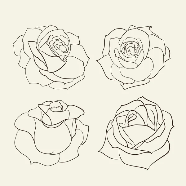 Rózsa vektoros rajz — Stock Vektor © baavli #64336369