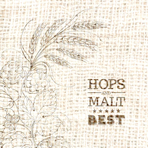 Beer hop border Vector Art Stock Images | Depositphotos