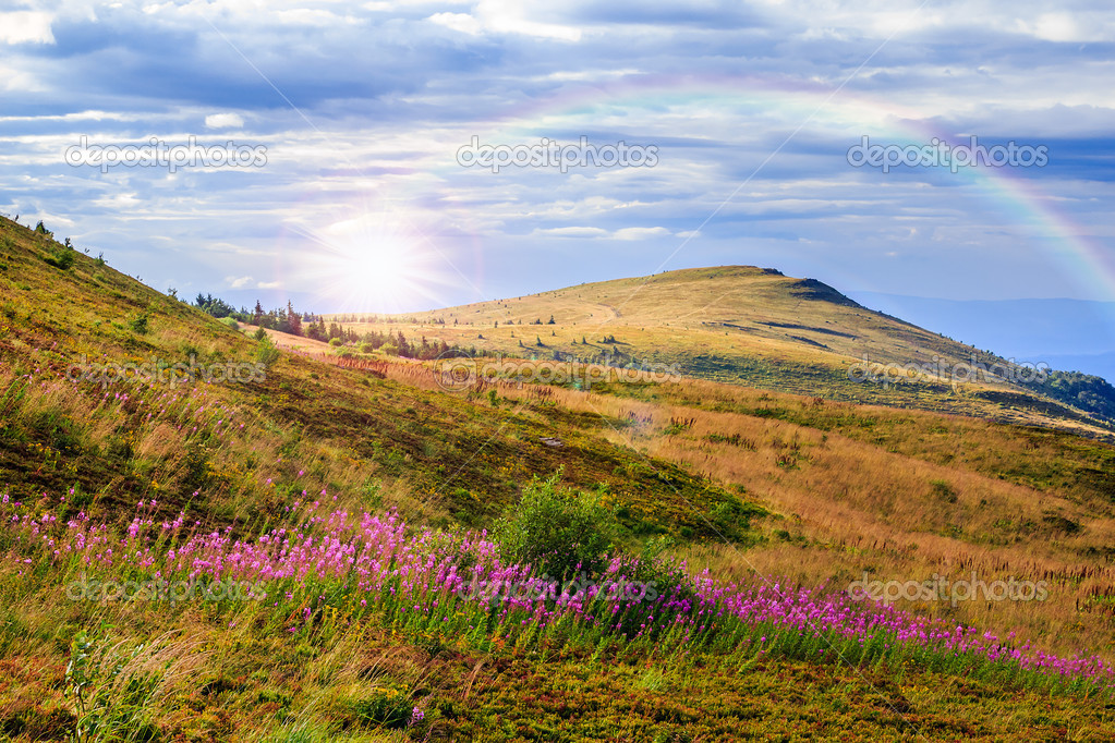 Light on stone mountain slope with forest — Stock Photo © pellinni ...