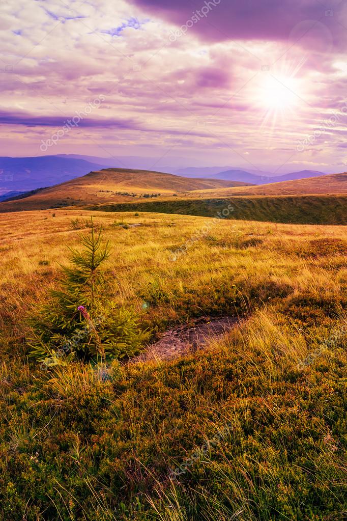 Light on stone mountain slope with forest Stock Photo by ©pellinni 36264107