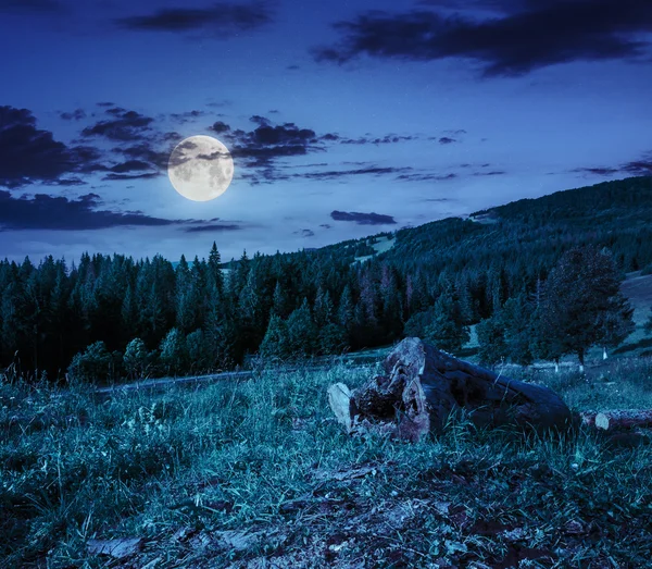 log on a hillside near the forests at night - Stock Image - Everypixel