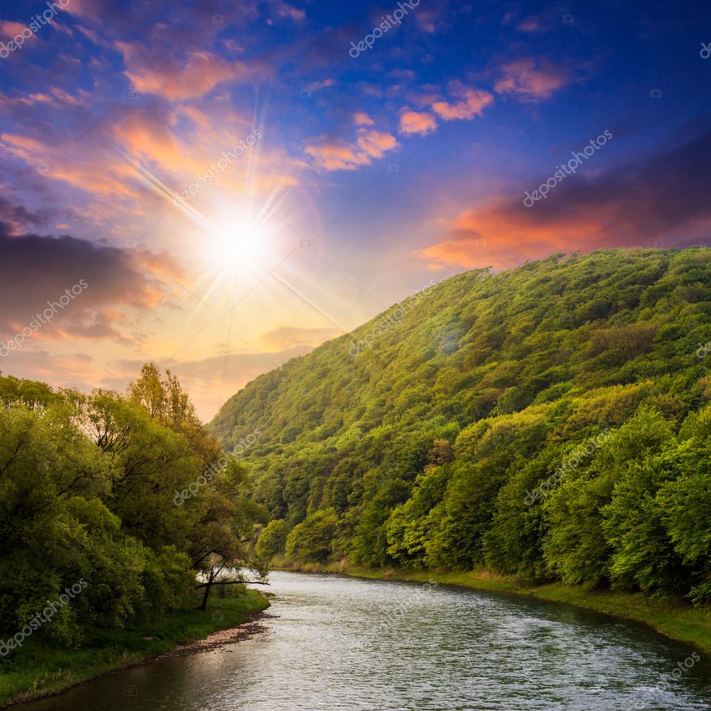 Mountain river near the forest at sunset — Stock Photo © pellinni #51305345