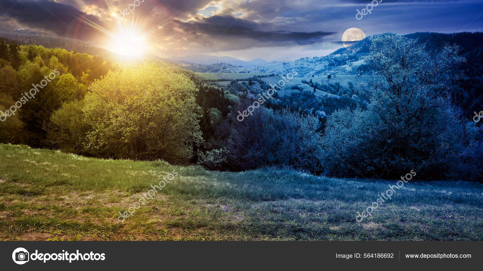 Night Time Nature Scene