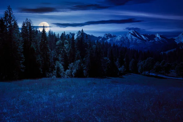 Moonlight night woods Stock Photos, Royalty Free Moonlight night woods ...