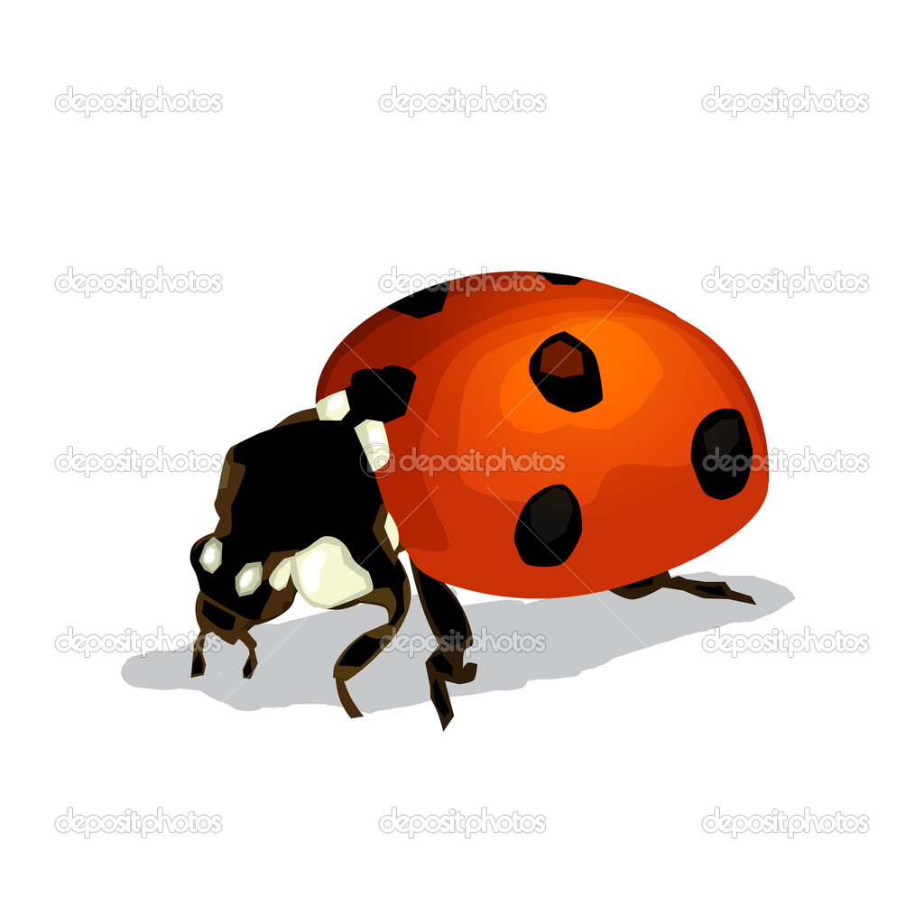 Ladybug Stock Photo by ©illustrator_hft 12135583